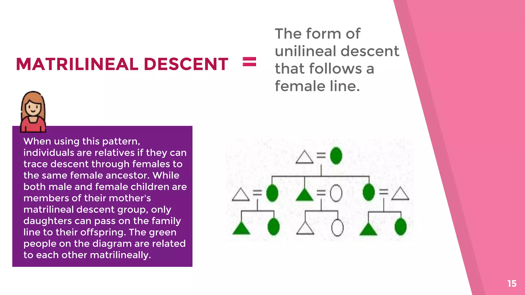 How Society is Organized? | PPTX
