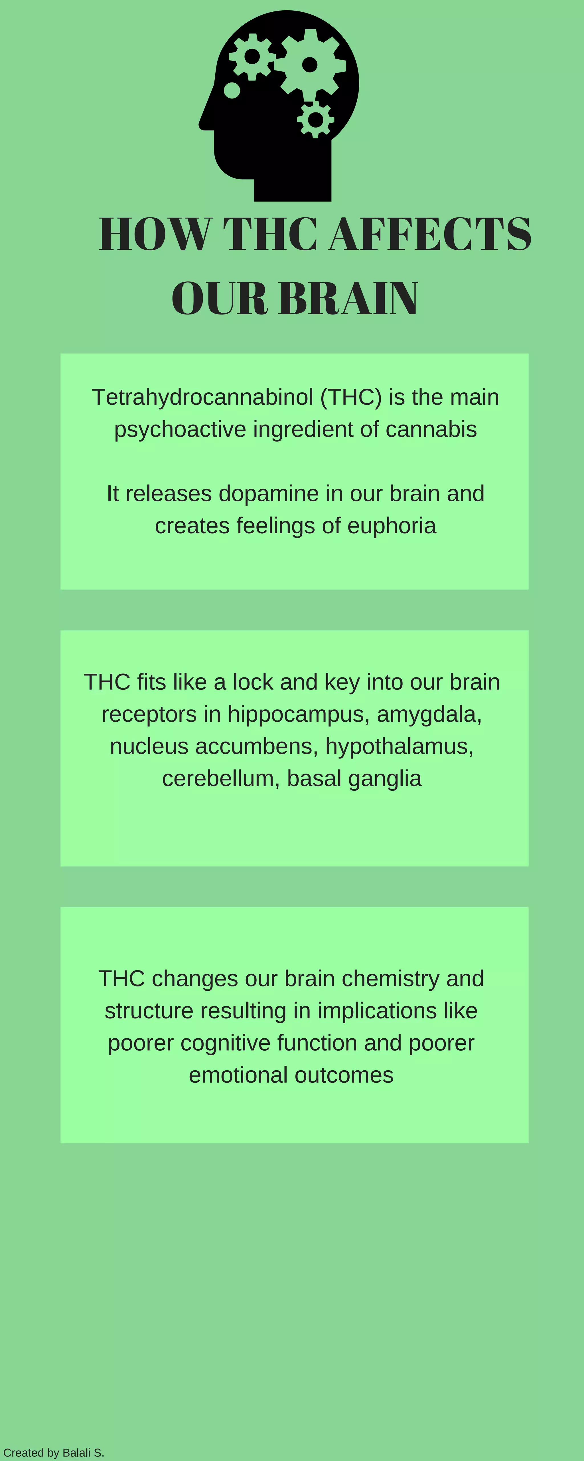 HOW THC AFFECTS OUR BRAIN | PDF