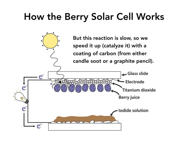 How the Berry Solar Cell Works | PDF