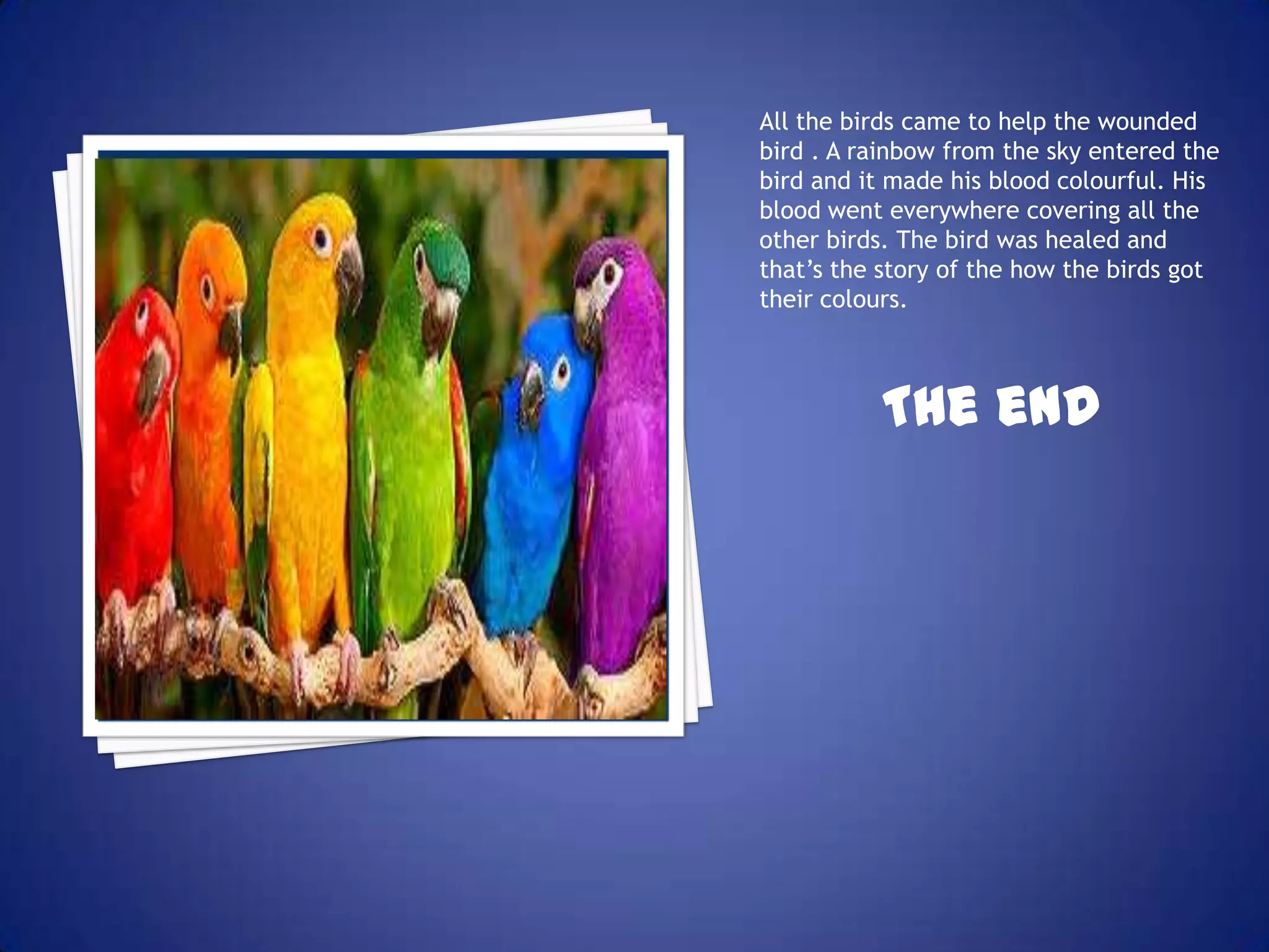 How the birds got their colours grace | PPTX | Birds | Pets