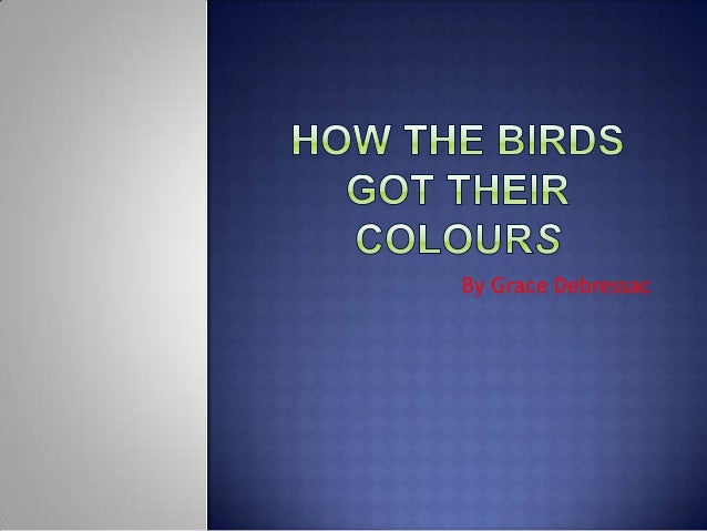 How the birds got their colours grace
