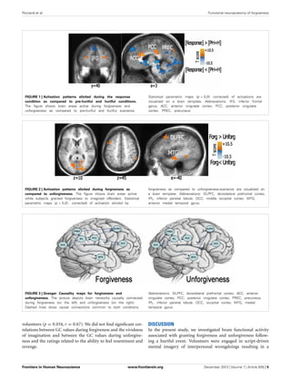 How the brain heals emotional wounds the functional neuroanatomy of ...