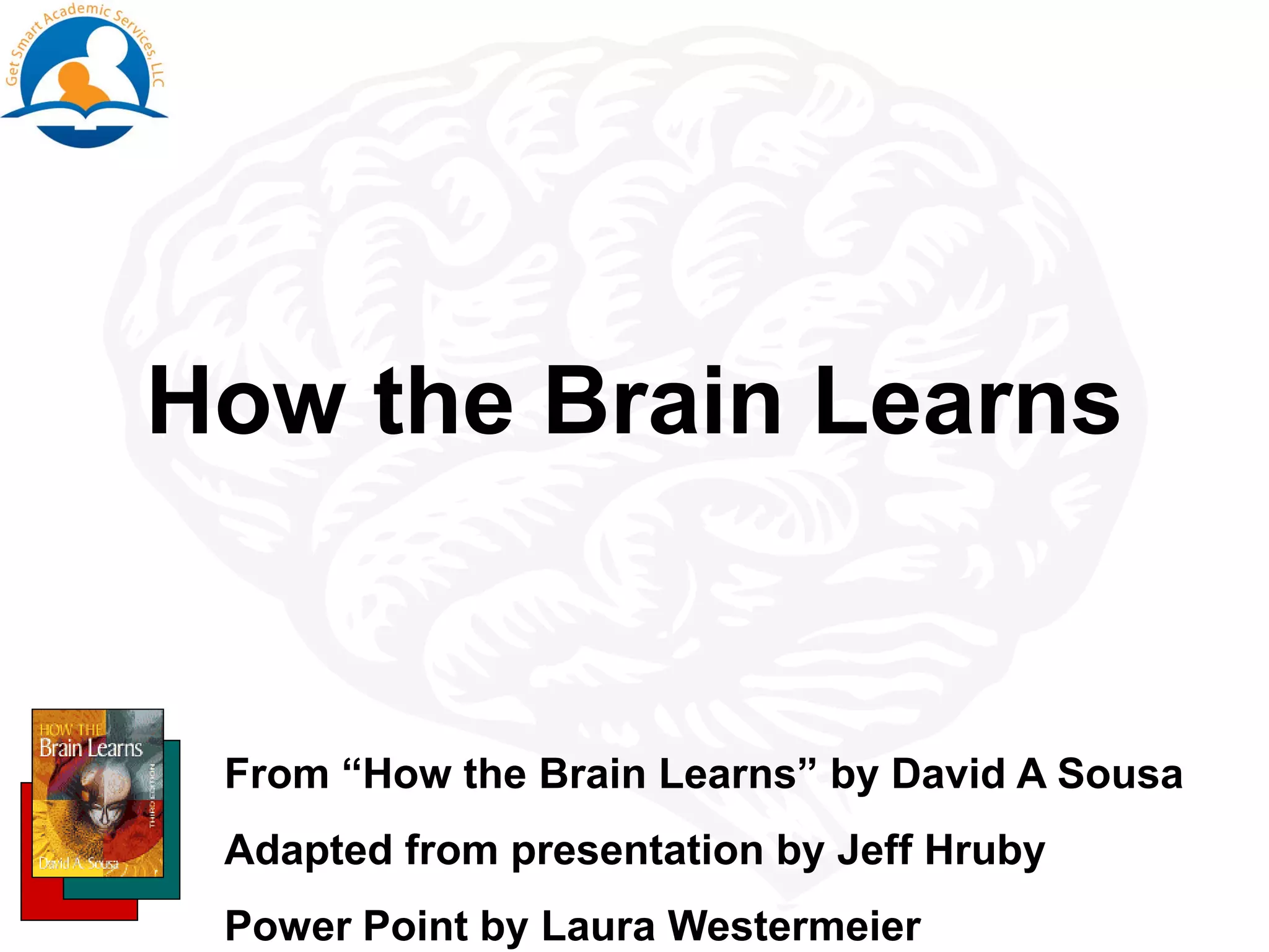 How the brain_learns | PDF