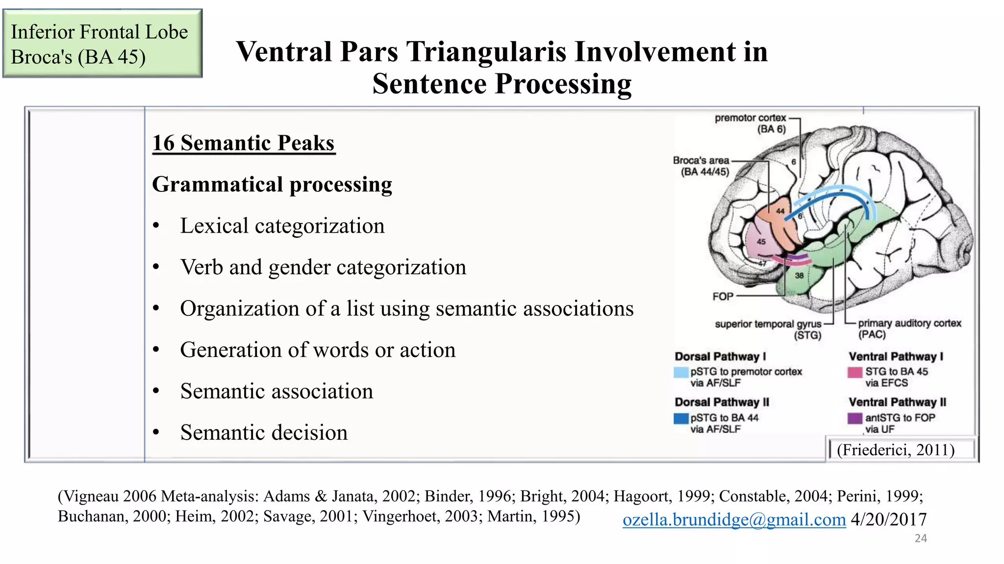 How the brain learns to read | PPTX