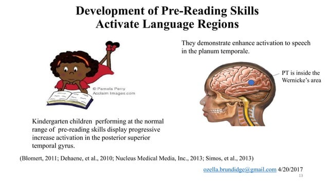 How the brain learns to read | PPTX