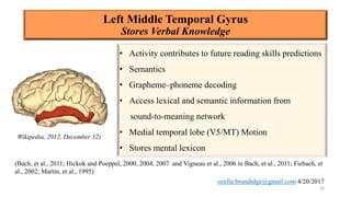 How the brain learns to read | PPTX