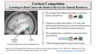 How the brain learns to read | PPTX