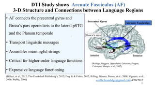 How the brain learns to read | PPTX