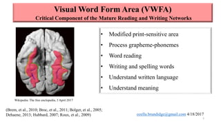 How the brain learns to read | PPTX