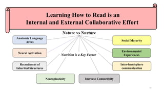 How the brain learns to read | PPTX