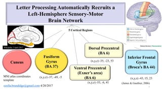 How the brain learns to read | PPTX