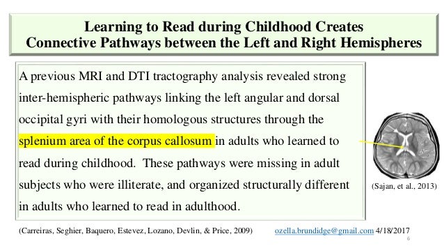 How the brain learns to read