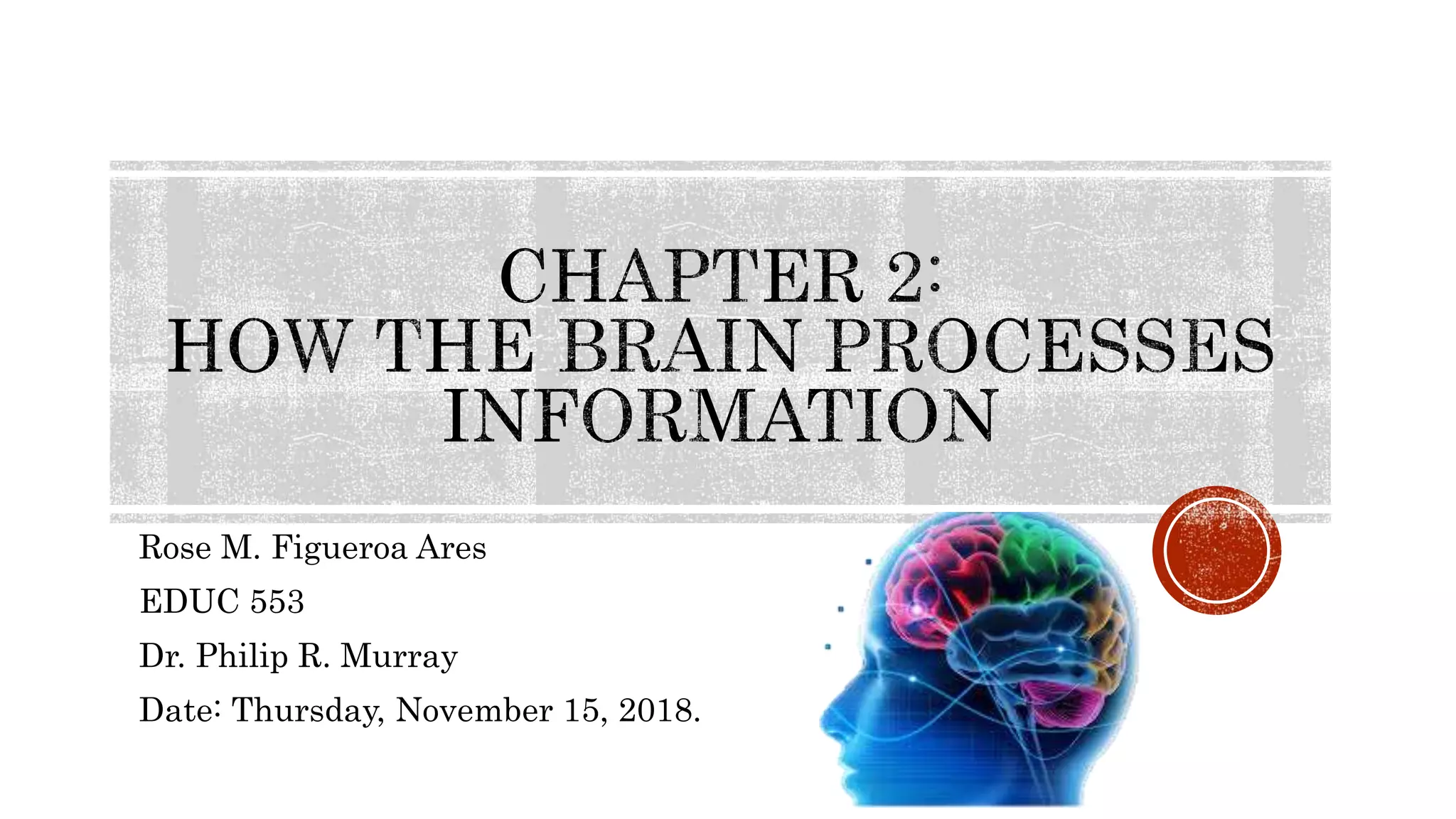 EDUC 553 How the brain processes information | PPTX | Data Storage and Warehousing | Computing