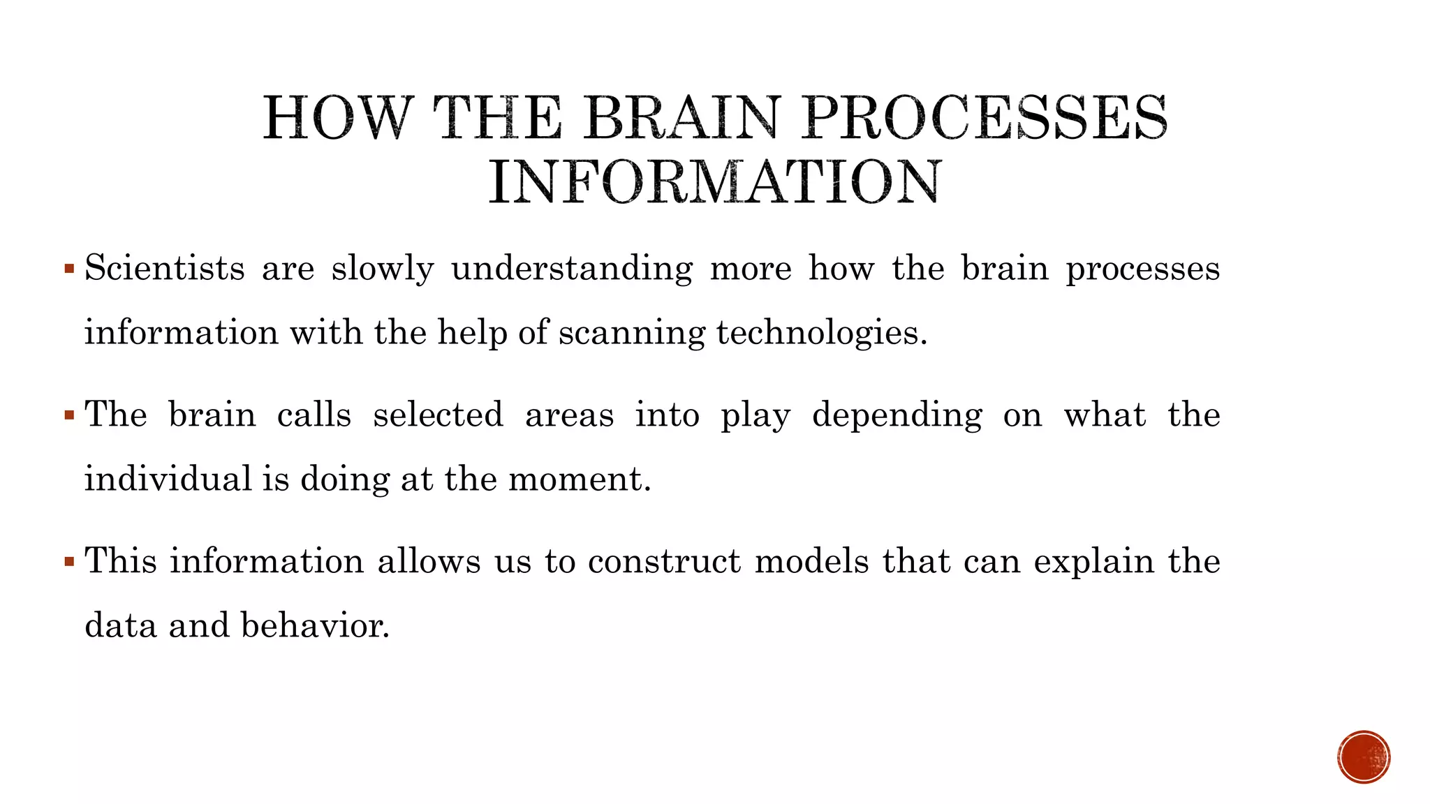 EDUC 553 How the brain processes information | PPTX | Data Storage and Warehousing | Computing