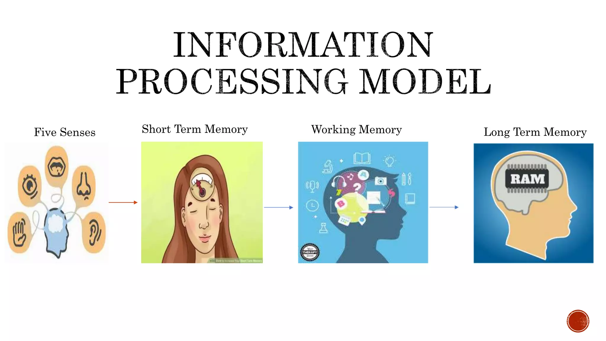 EDUC 553 How the brain processes information | PPTX | Data Storage and Warehousing | Computing