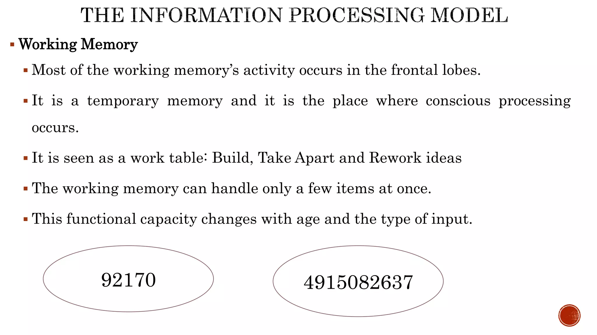 EDUC 553 How the brain processes information | PPTX | Data Storage and Warehousing | Computing