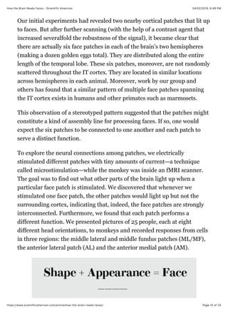 How the brain reads faces | PDF