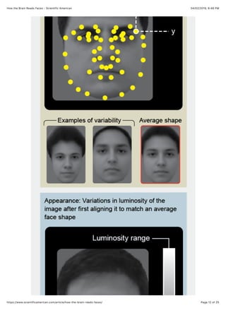 How the brain reads faces | PDF