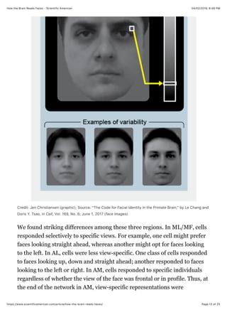 How the brain reads faces | PDF
