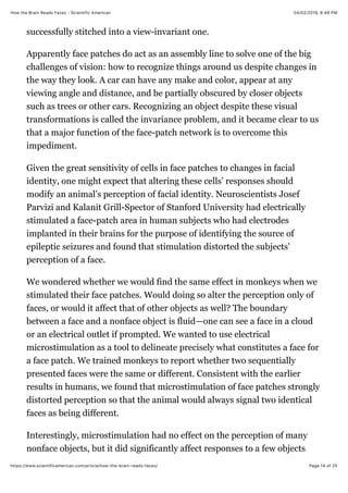 How the brain reads faces | PDF