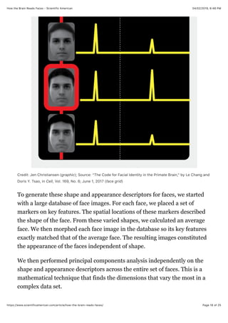 How the brain reads faces | PDF