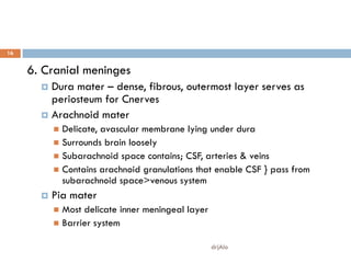 How the brain works | PDF