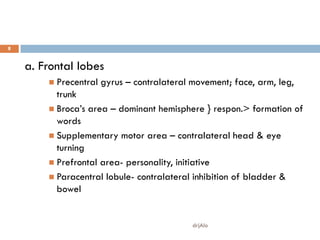 How the brain works | PDF