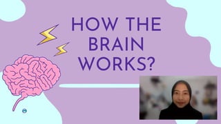 HOW THE BRAIN WORKS .pptx