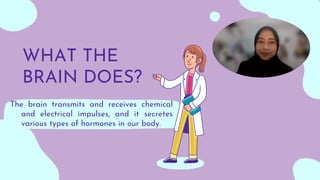 HOW THE BRAIN WORKS .pptx