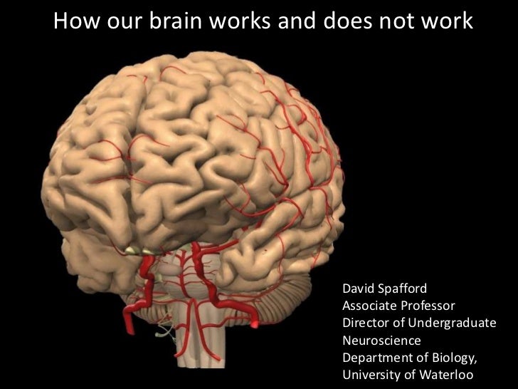 How the brain works and does not work - Erin Legion Hall - March 8 20…