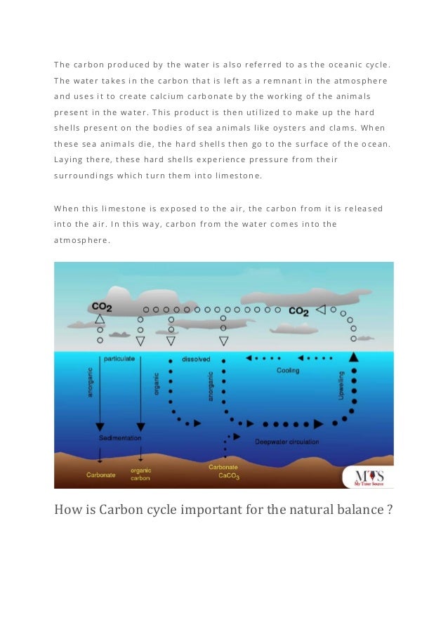 How the Carbon Cycle works.pdf