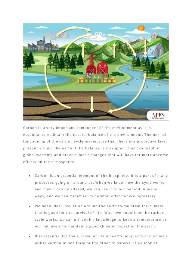 How the Carbon Cycle works.pdf