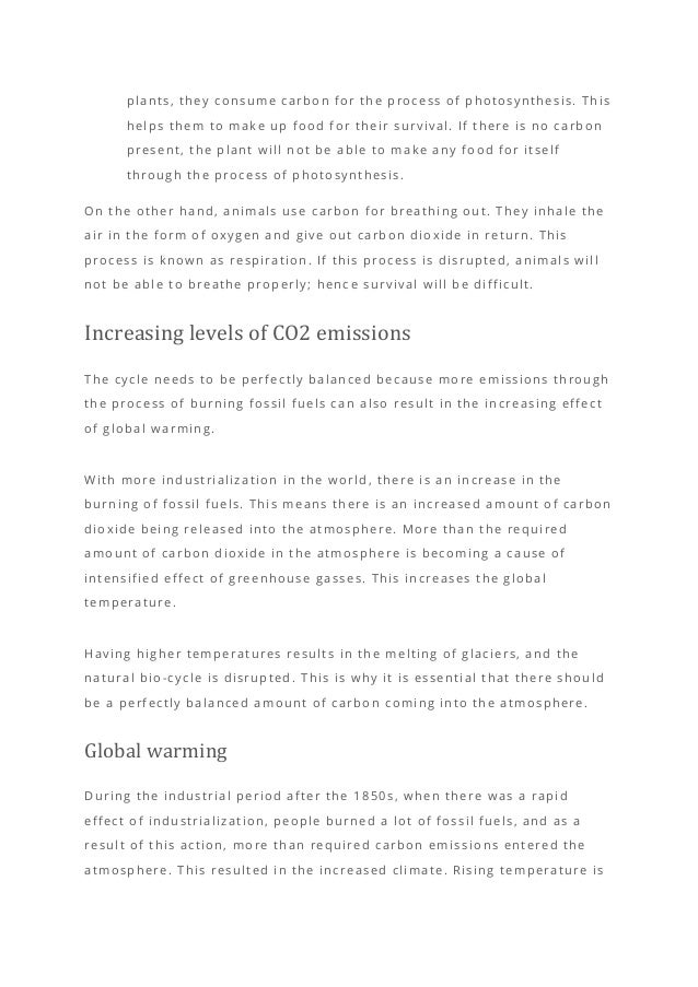How the Carbon Cycle works.pdf