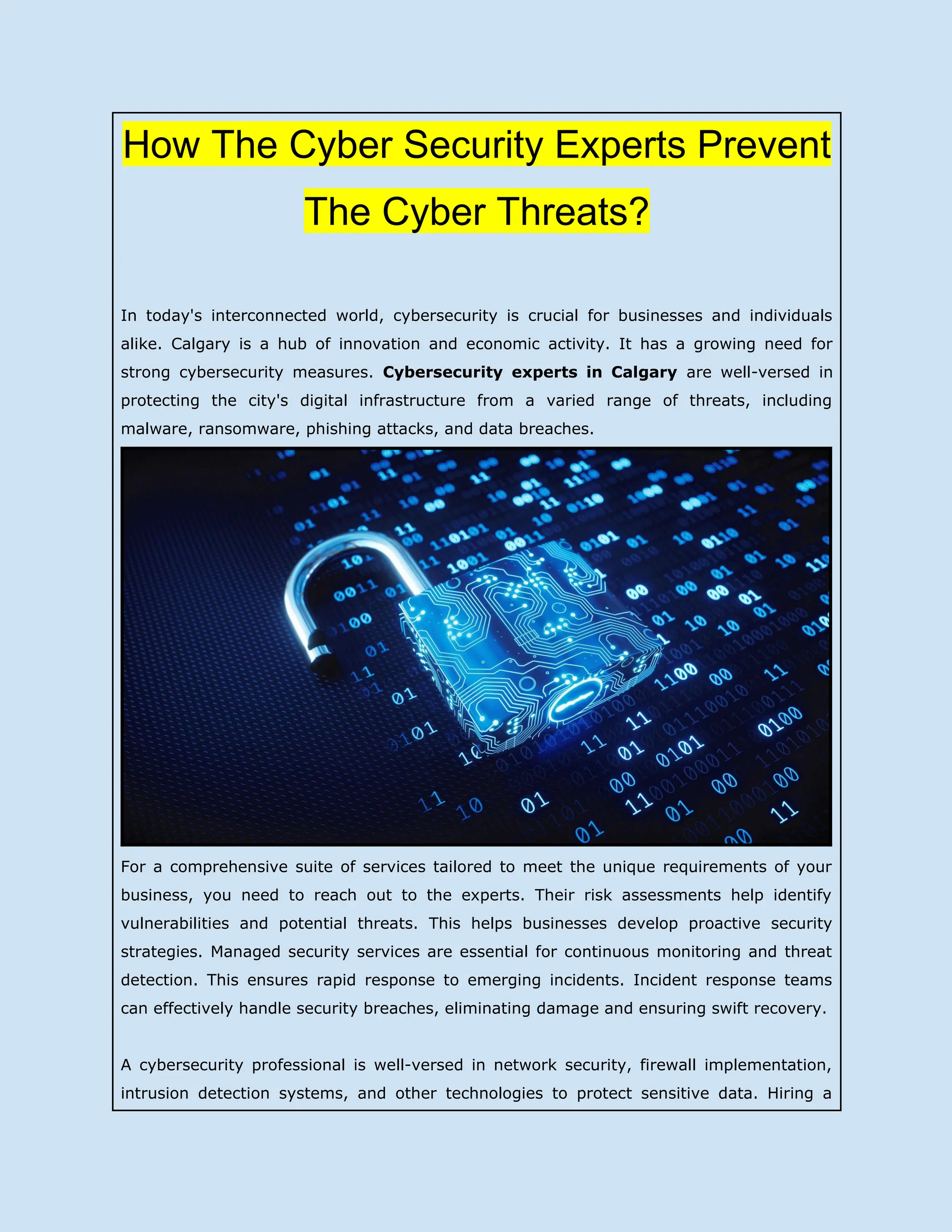 How The Cyber Security Experts Prevent The Cyber Threats? | DOCX