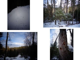 How the digital camera works | PPTX