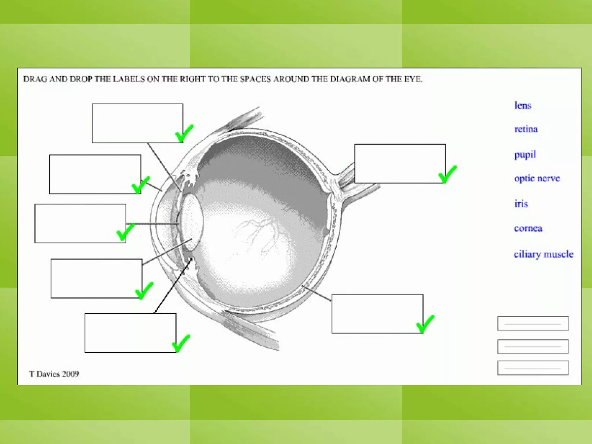 How the eye works | PDF
