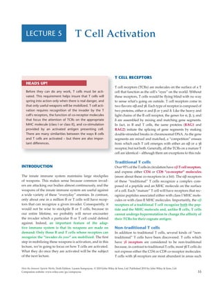 How does the immune system work ? | PDF