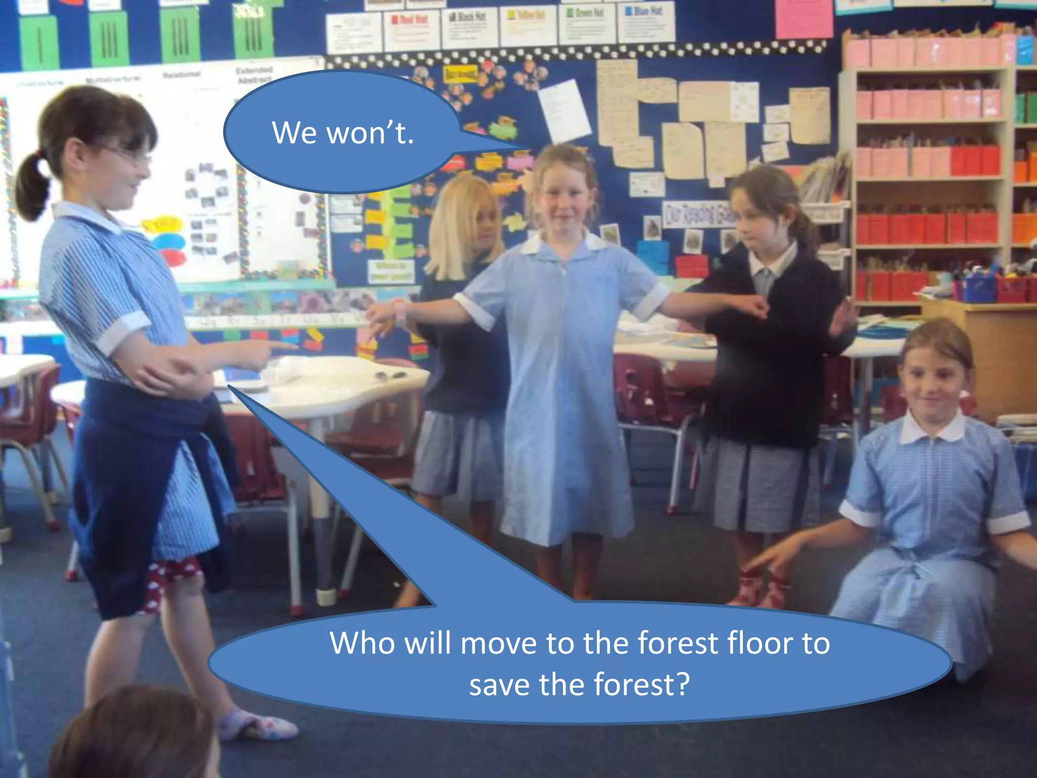 How the kiwi lost it’s wings | PPTX | Birds | Pets