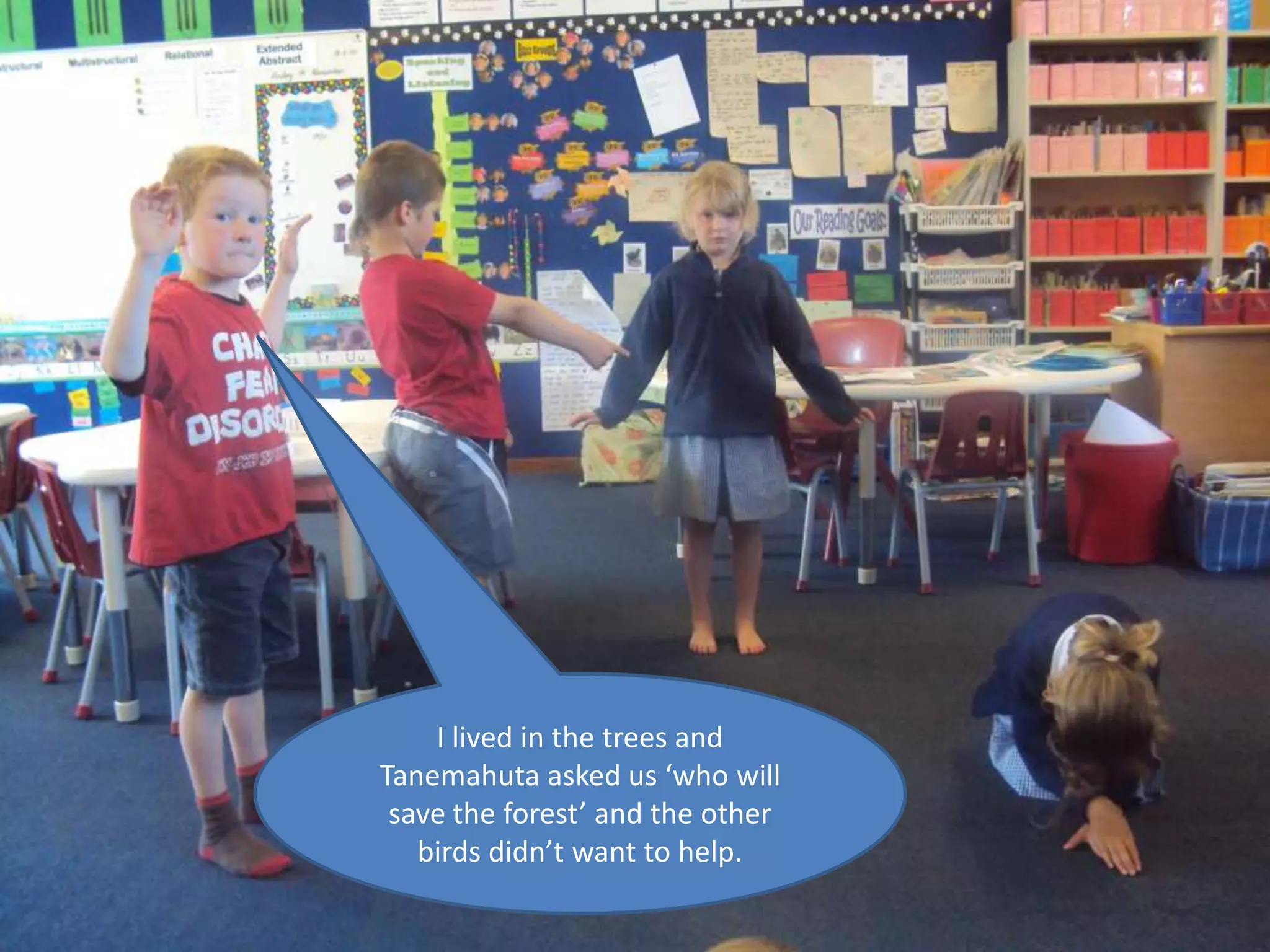 How the kiwi lost it’s wings | PPTX | Birds | Pets