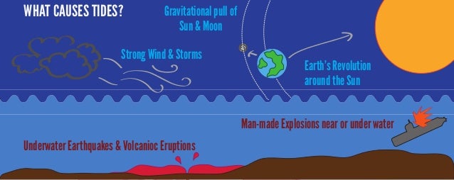 How tides work