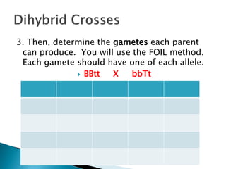 Introduction to molecular biology and genetics | PPT