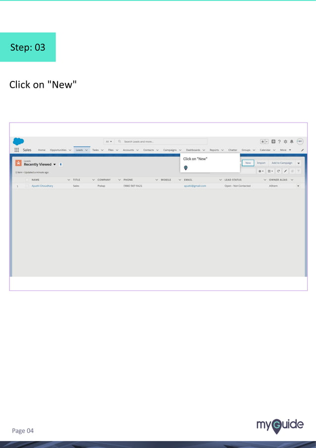 How To Add A New Lead In Salesforce Lightning | PDF