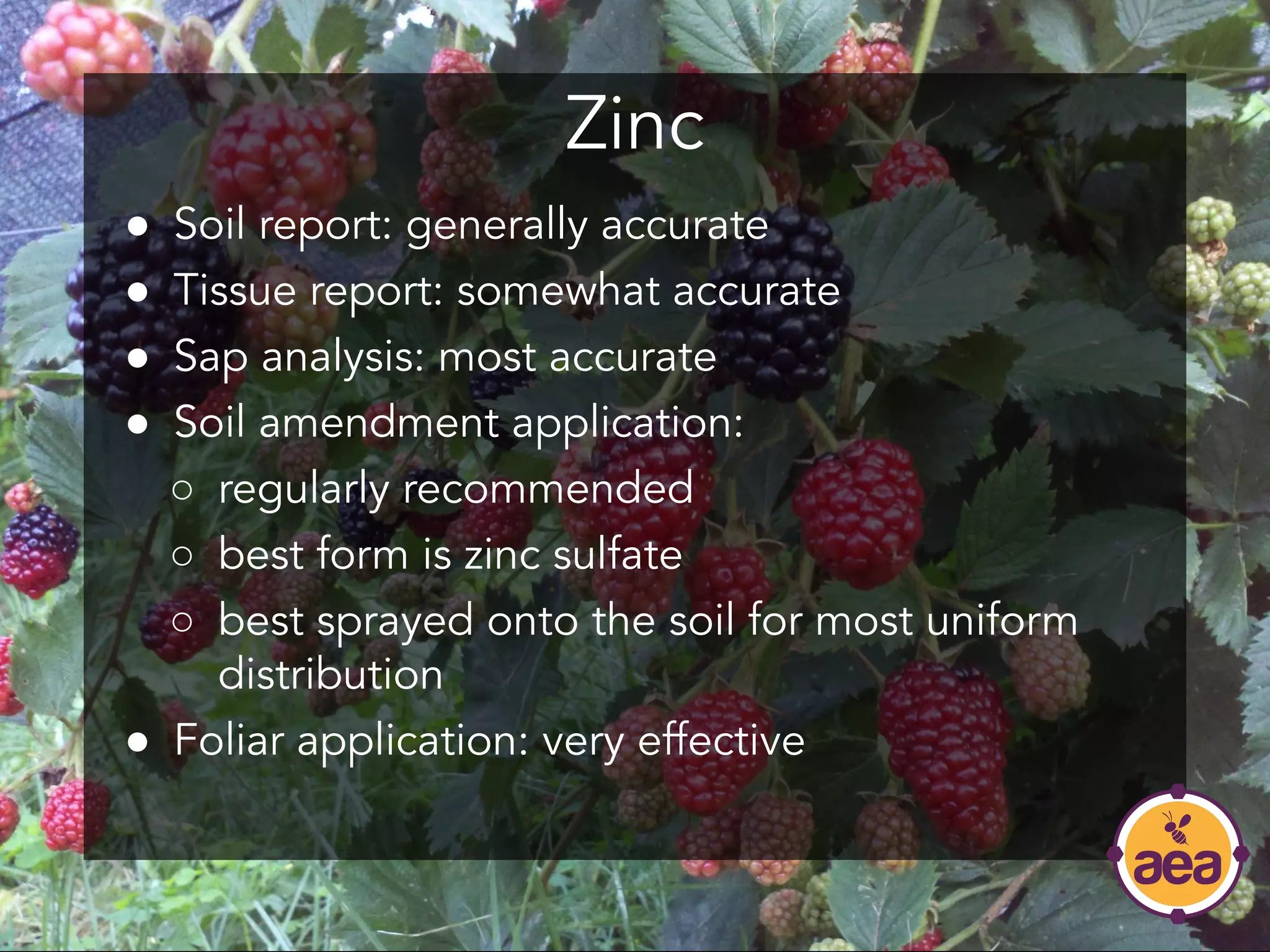 How to Address Micronutrient Deficiencies | PPT