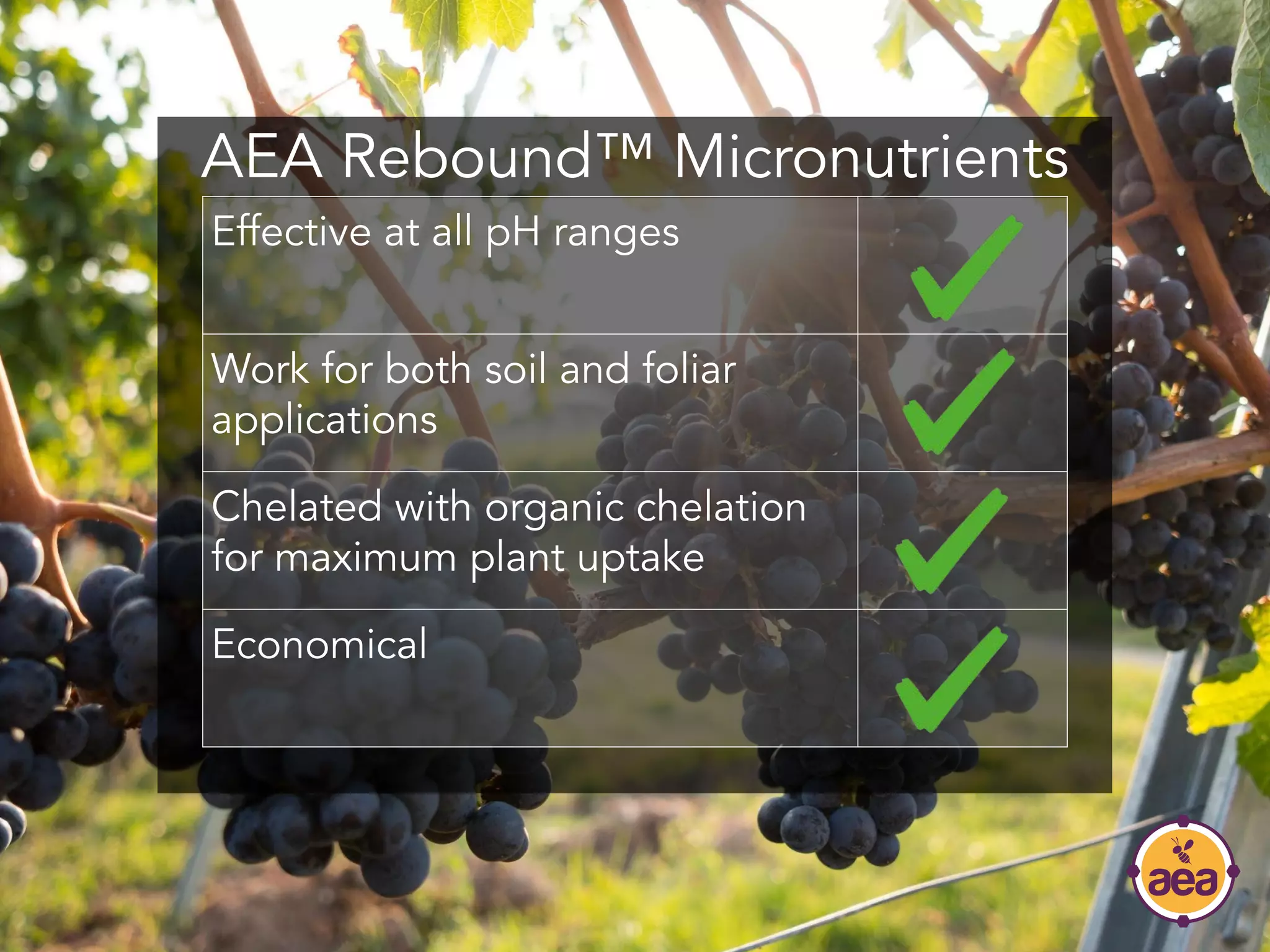 How to Address Micronutrient Deficiencies | PPT