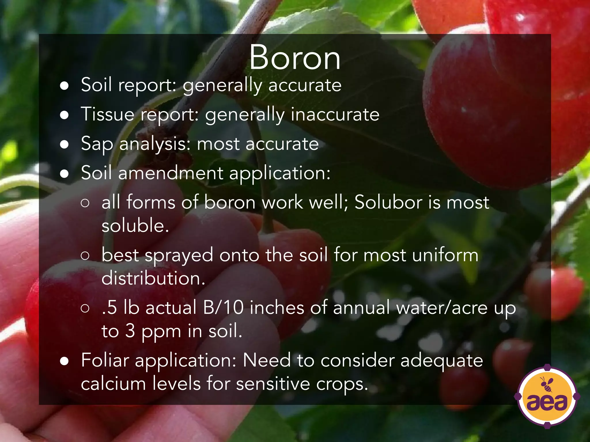 How to Address Micronutrient Deficiencies | PPT