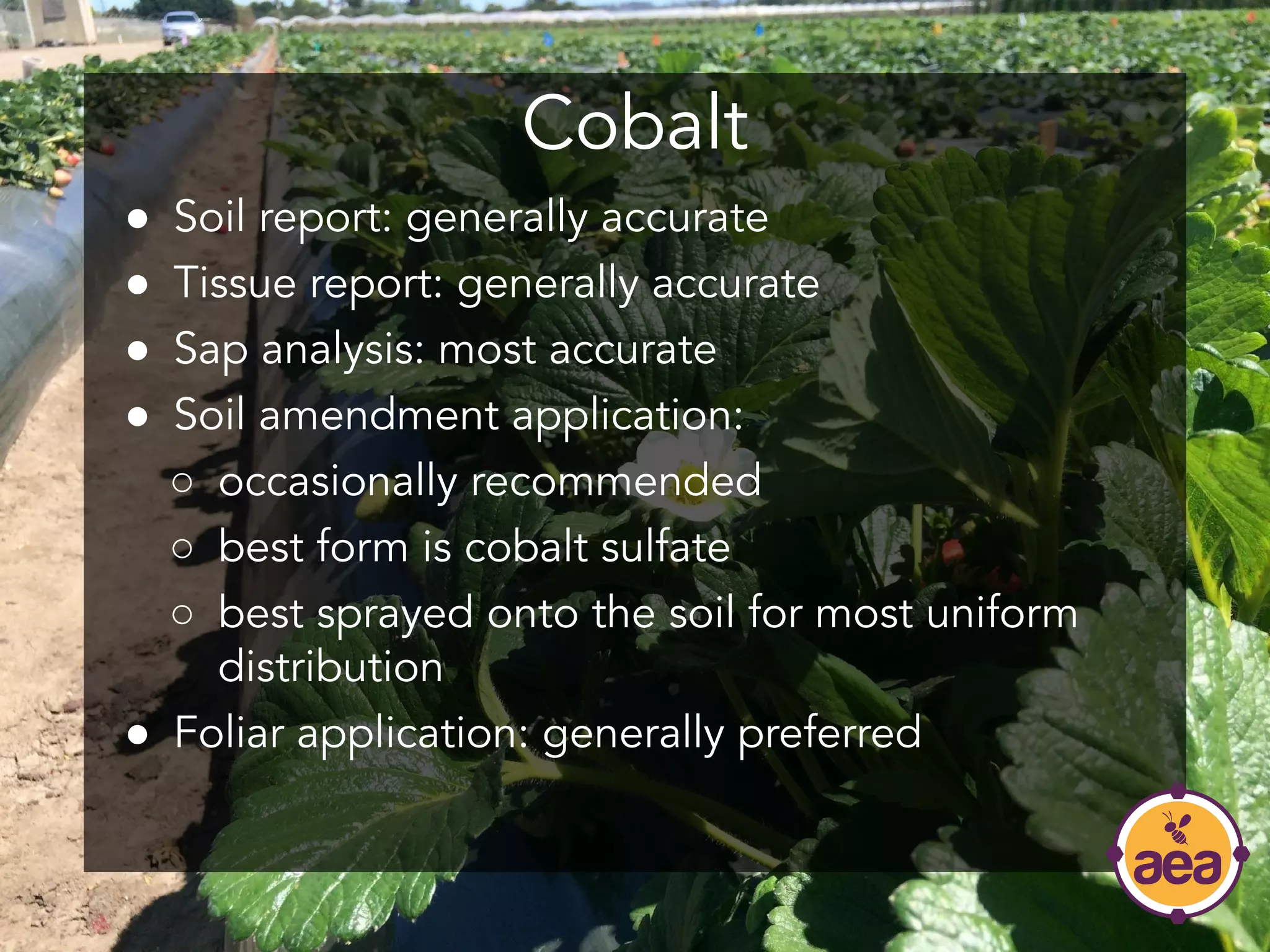 How to Address Micronutrient Deficiencies | PPT