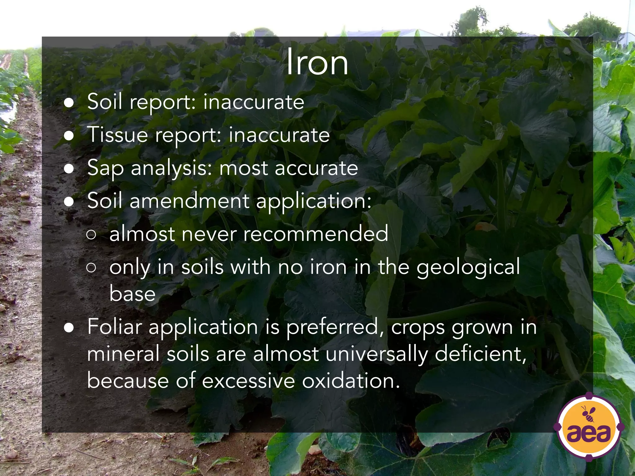 How to Address Micronutrient Deficiencies | PPT