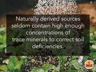 How to Address Micronutrient Deficiencies | PDF