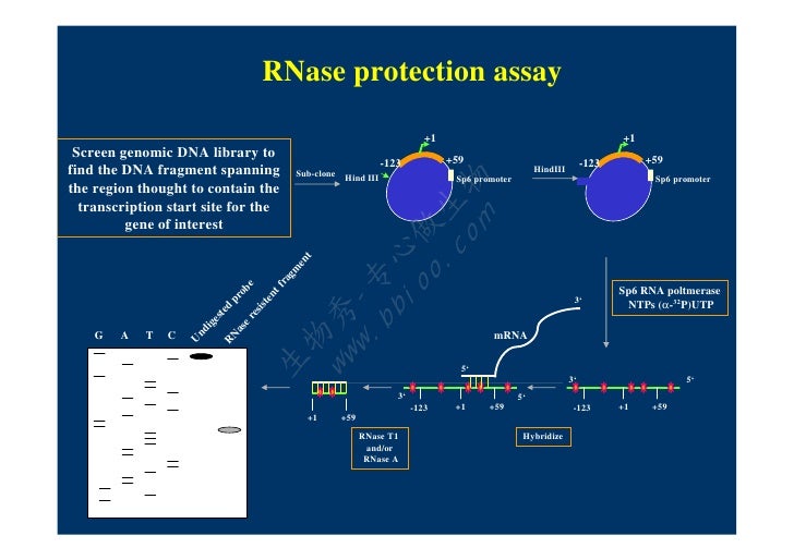 How To Analyze A New Gene