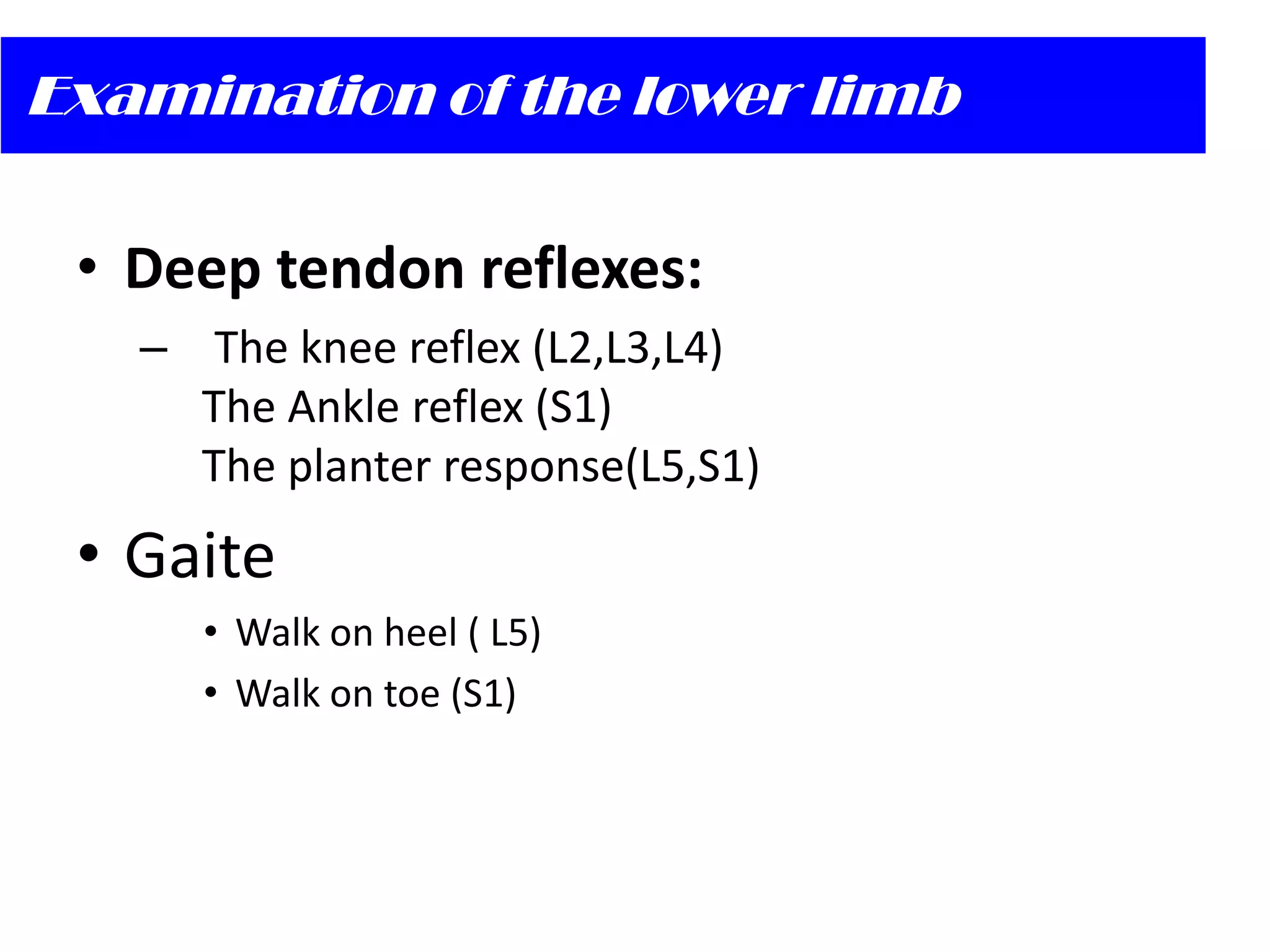 approach a patient with low back pain | PPTX